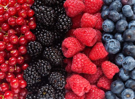 Tipos De Berries A To Z Of Berries 25 Amazing Types With Stunning