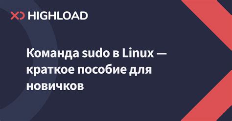 Команда Sudo в Linux синтаксис примеры использования