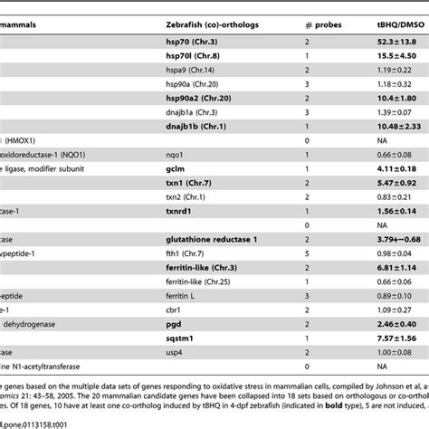 Zebrafish Vs Mammalian Response To Tbhq Download Table