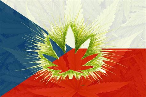 Kiedy Legalizacja Marihuany W Czechach Wolne Konopie