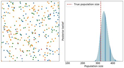 Iterated Mark And Recapture Andrew M Webb