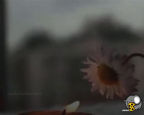 پدرم مرد دریا، مرد بارون با تو زندگی یه باغه، بی تو سرده مثل زندون فیلو
