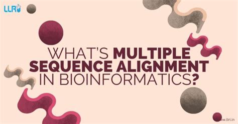 Whats Multiple Sequence Alignment In Bioinformatics Methods And Applications