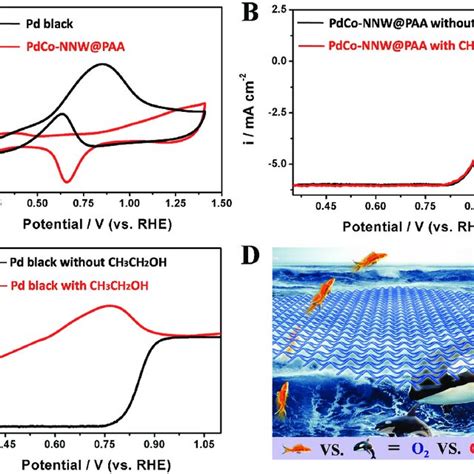 A Cv Curves Of Pdco Nnwpaa Nanohybrids And Commercial Pd Black In N 2