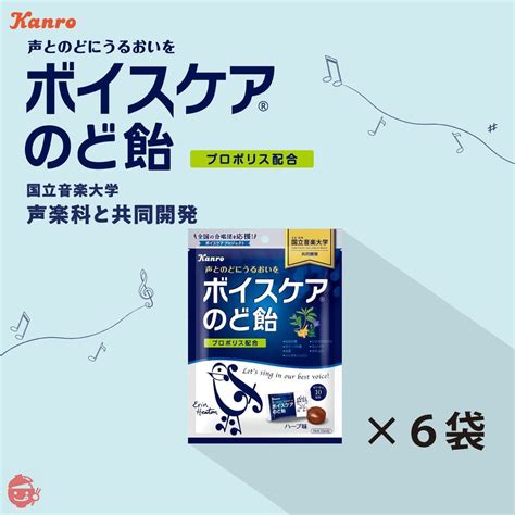 送料無料 カンロ ボイスケアのど飴 70g×24個 あめ・ミント・ガム