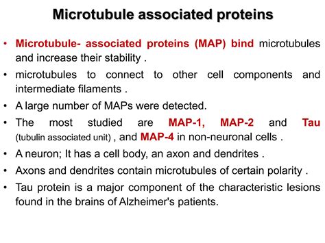 Structure And Functions Of Cytoskeletons Ppt