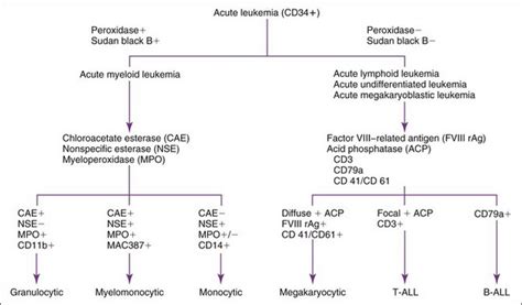 Leukocyte Disorders Veterian Key