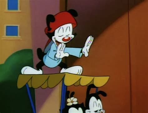 Wakko Tai Chi Wakko Warner Lovers Photo 15769993 Fanpop