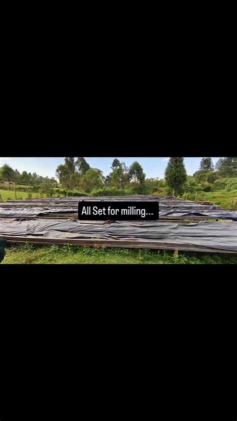 Hela Coffee Exporter Helacoffee • Instagram Photos And Videos