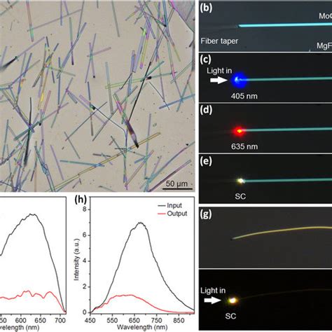 Investigation Of Raman Properties Of Single Moo3 Nrs A Typical