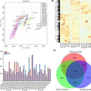 Of The Differentially Expressed Genes A Score Plot Of The PCA Download Scientific Diagram