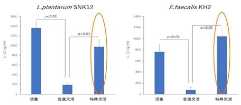 植物乳杆菌 健康肠道，提升免疫力！ 知乎