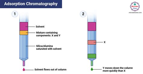 Adsorption Chromatography Principle Types Steps Uses