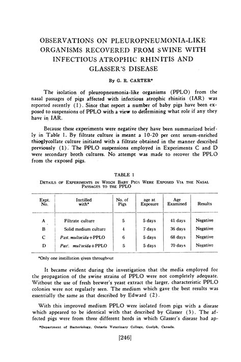 Observations On Pleuropneumonia Like Organisms Recovered From Swine