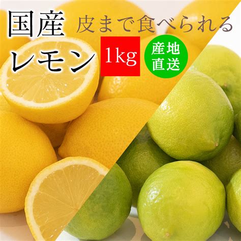 レモン 国産レモン 訳あり 1kg 2kg 3kg 5kg ＜ 皮まで食べられるレモン ＞ 送料無料 ノーワックス 防腐剤 防カビ剤 不使用