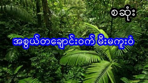 အစွယ်တချောင်းဝက် မီးမကူးဝံ စဆုံး Youtube