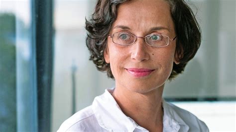 Untersuchungsbericht Der Tu Darmstadt Zum Fall Cornelia Koppetsch Faz