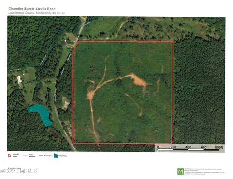 40 Acres In Lauderdale County Mississippi
