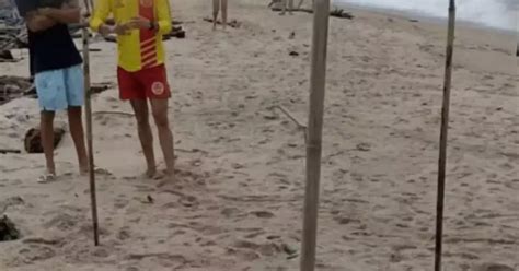 DaniMeller Banhistas Encontram Corpo Esquartejado Em Praia Do