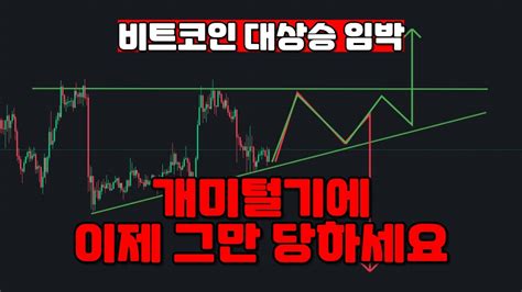 비트코인 분석 대상승 임박 개미털기에 속지마세요 Youtube