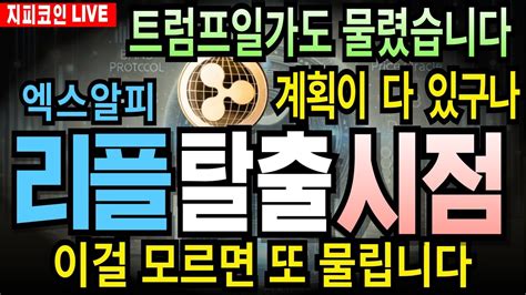 리플 Xrp 대응전략 리플 전망 💥 리플 탈출시점 트럼프일가도 물렸습니다 계획이 다 있구나 이걸 모르면 또