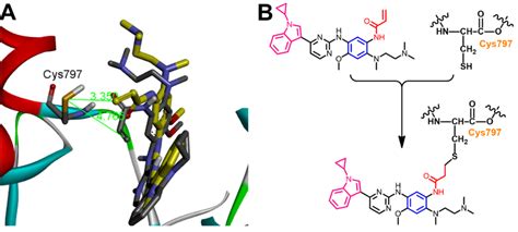 A 3D View Of Almonertinib Sown As Sticks Colored By Element
