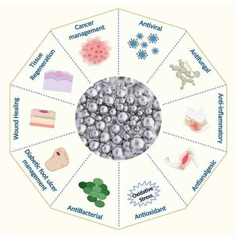 Silver Nanoparticles For Chronic Wound Management Encyclopedia Mdpi