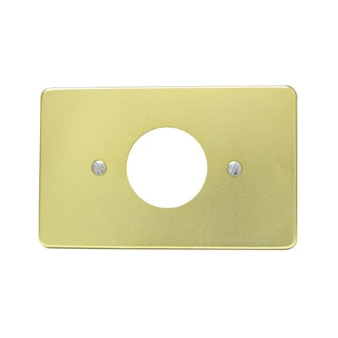 136608 Placa Sencilla De Aluminio Línea Estándar Color Oro Surtek