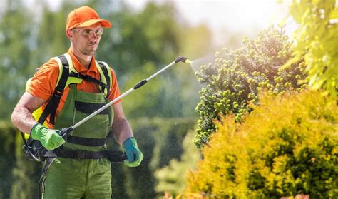 Pyrethrins And Pyrethroids You Know Their Differences Safe