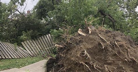 during the storm my weather app said “moderate winds” to be expected