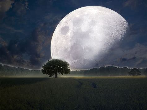 ¿qué Busca La Nasa Con La Instalación De Un Reactor Nuclear En La Luna