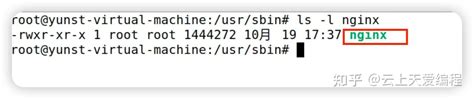 Nginx