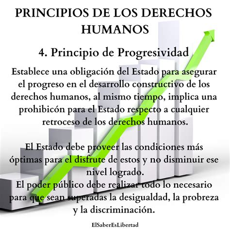 Principios De Derechos Humanos Y Constitucional Principios De My Xxx