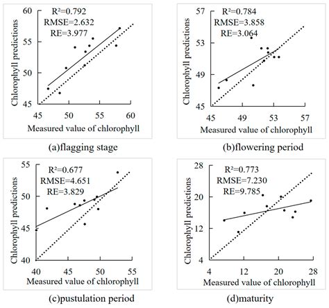 Applied Sciences Free Full Text Estimation Of Chlorophyll Content In Wheat Based On Optimal
