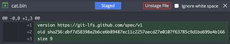 Git LFS In GitKraken Desktop Store Binary Files