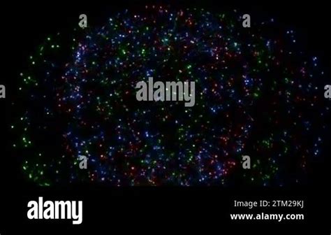 Firework Display In Loop Able Beautiful 3d Animation Outburst Majestic