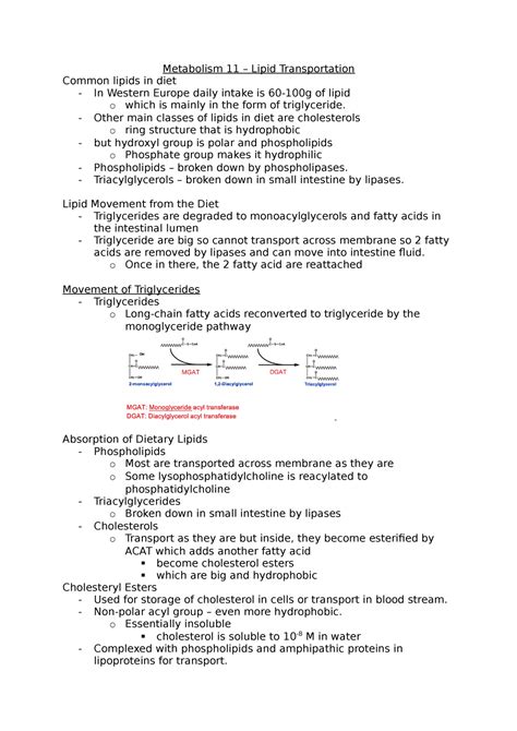 Metabolism 11 Lipid Transportation Metabolism 11 Lipid