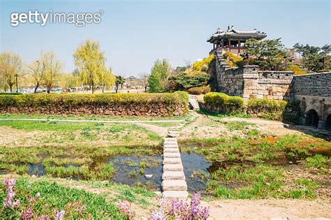 Hwaseong Fortress Banghwasuryujeong With Spring Flowers In Suwon Korea
