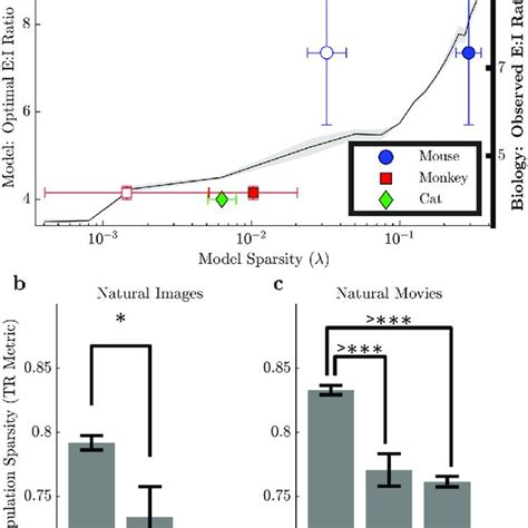 Optimal Ei Ratio For Coding Fidelity Top Row A Sparse Coding Model