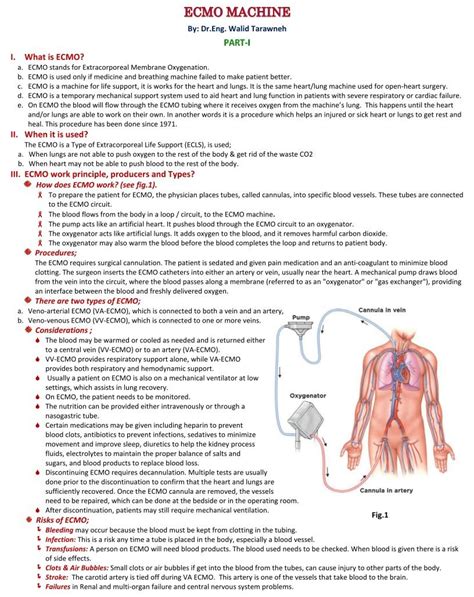 Ecmo Oxygen Membrane Dreng Walid Tarawneh