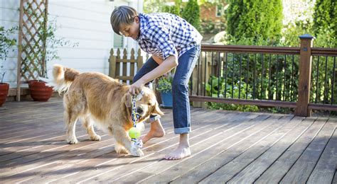 Keeping Your Deck Safe Yellawood