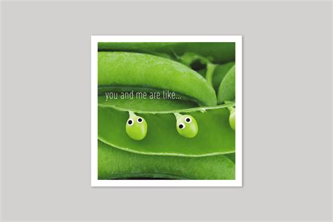 You And Me Are Like Greeting Card Icon
