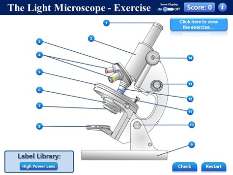 Label Microscope Gcse