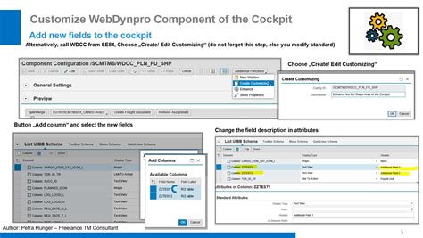 How To Add Custom Fields To The Transportation Coc Sap Community