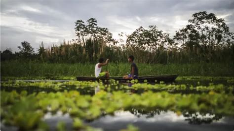 Amazonas Los Desencuentros Entre Los Países Que Comparten La Selva Que