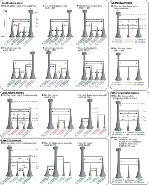 Schematic Illustrations Of All Tested Main Demographic Models A F