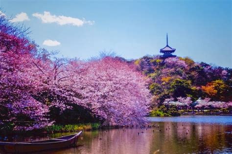 The Best Places To Visit In Kanagawa