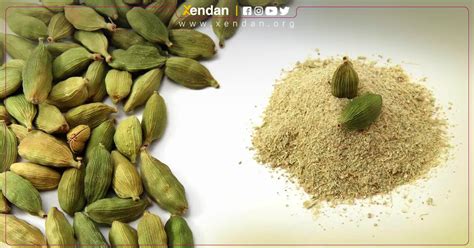 سودەكانی هێل بۆ ئەو كەسانەی پەستانی خوێن زەختیان بەرزە