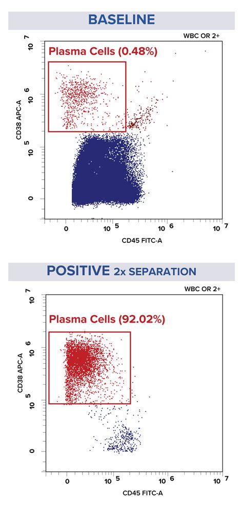 Plasma Cell Isolation Applied Cells