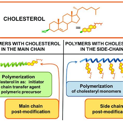 Polymerization Methods Used For The Synthesis Of Cholesterol End Capped Download Scientific